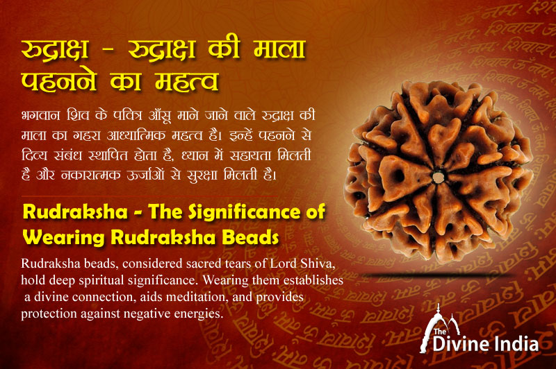 Rudraksha - The Significance of Wearing Rudraksha Beads