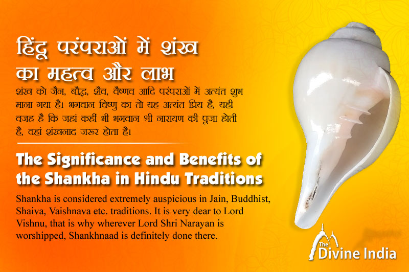 Importance and use of Shankha | The Significance and Benefits of the ...
