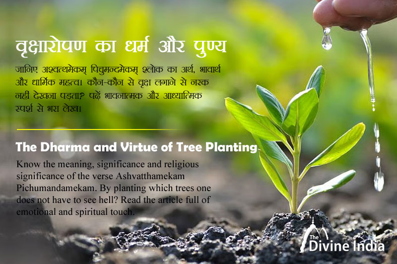 Ashvatthamekam Pichumandamekam Shloka | The path to liberation through ...