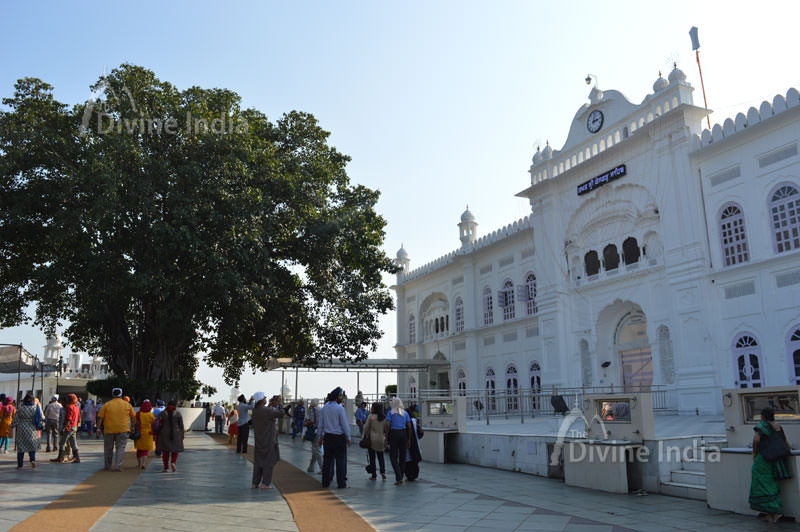 Anandpur Sahib Gurdwara : with tree front view of anandpur sabhi ...